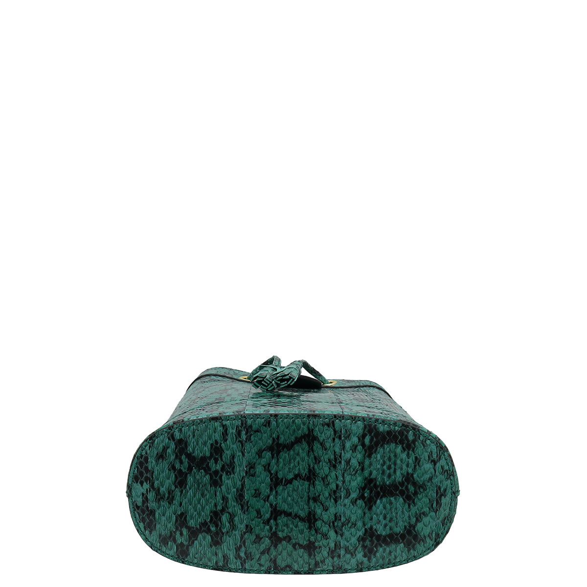 Gucci Green Python Ophidia Bucket Bag – The Closet