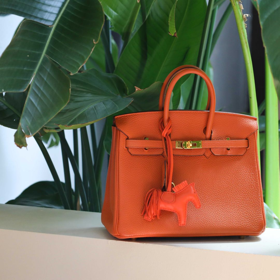 The Closet | Authentic Designer Luxury Handbags, Jewelry, & Shoes – THE ...