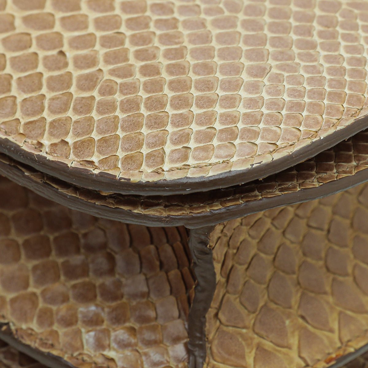 Celine Beige Python Classic Medium Bag – THE CLOSET