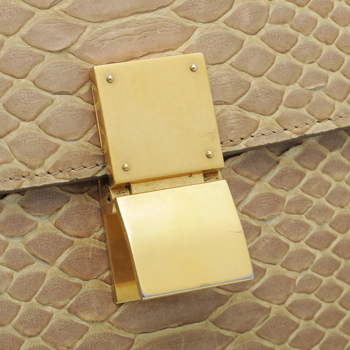 Celine Beige Python Classic Medium Bag – THE CLOSET
