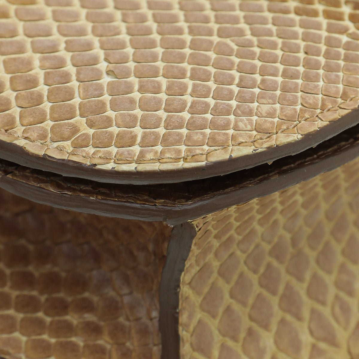 Celine Beige Python Classic Medium Bag – THE CLOSET