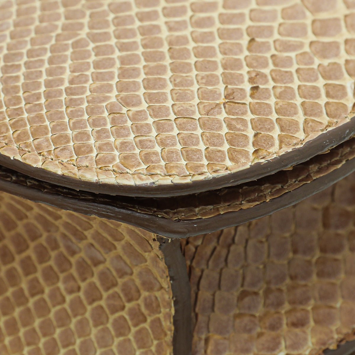 Celine Beige Python Classic Medium Bag – THE CLOSET