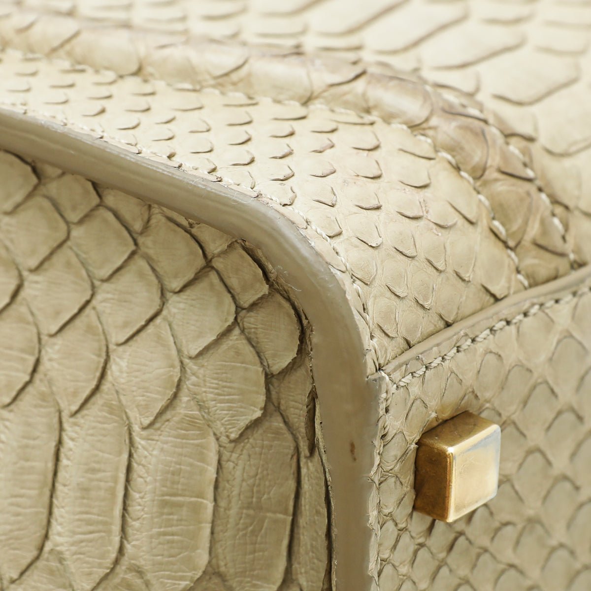 Celine Mastic Python Phantom Medium Luggage Bag – The Closet