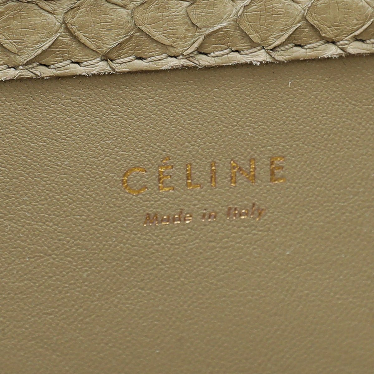 Celine Mastic Python Phantom Medium Luggage Bag – THE CLOSET
