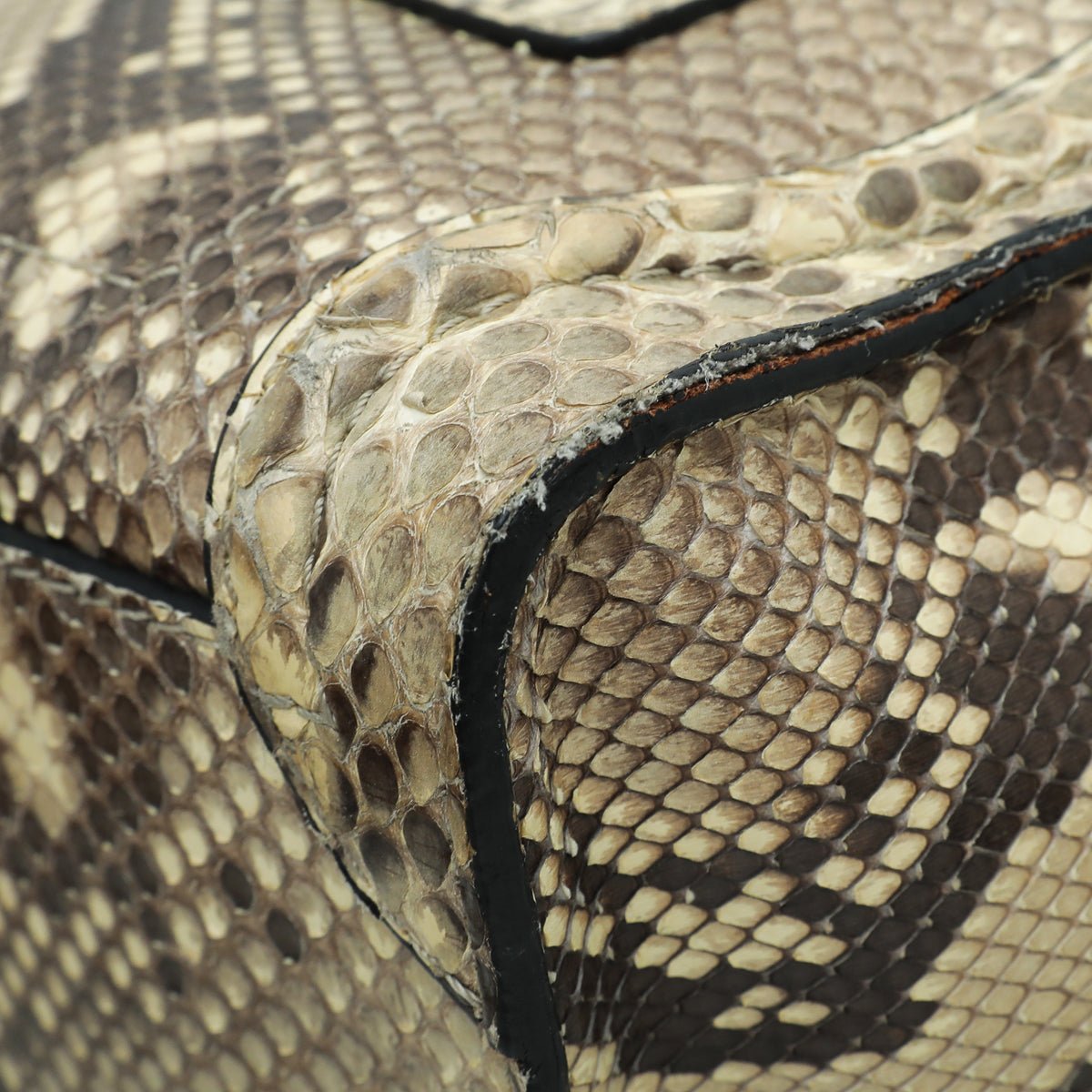 Celine Natural Beige Full Python Nano Luggage Bag – THE CLOSET