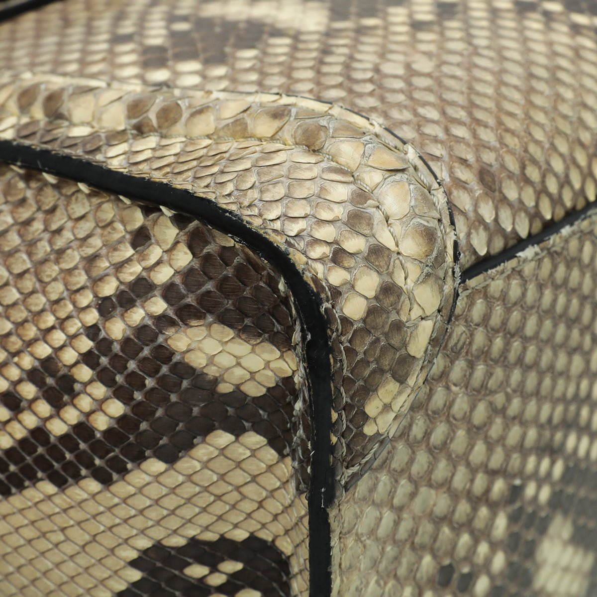 Celine Natural Beige Full Python Nano Luggage Bag – THE CLOSET