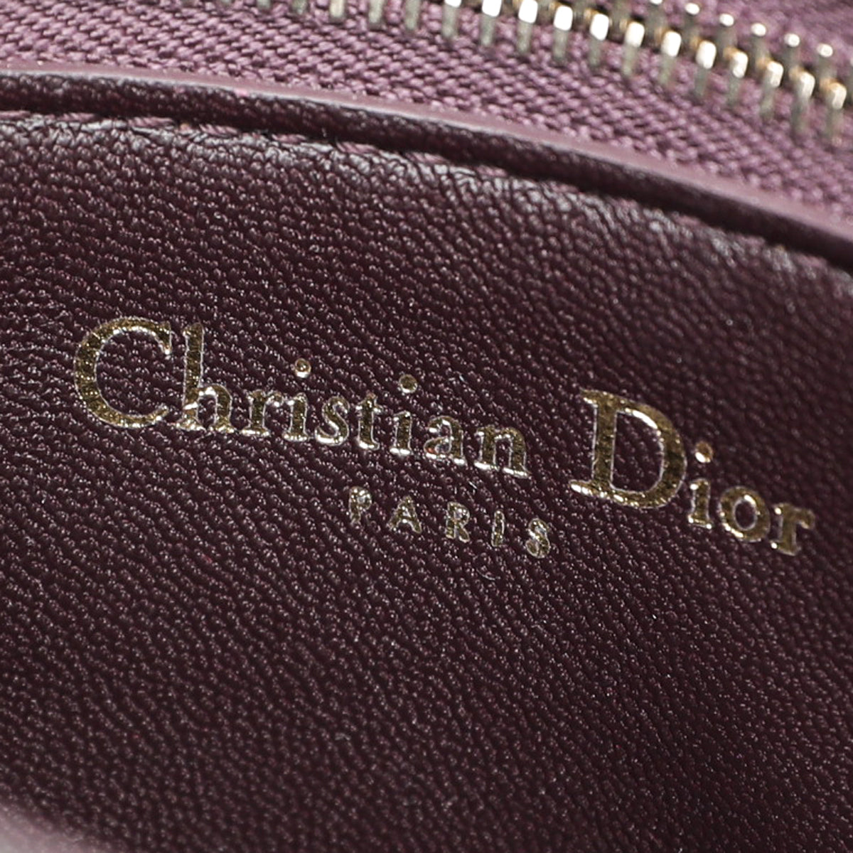 Christian Dior Green Ceramic Effect Deerskin Diorama Club Bag – THE CLOSET