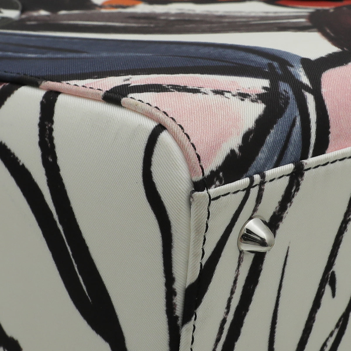 Christian Dior Multicolor Floral Graffiti Lady Dior By Raf Simons Bag ...