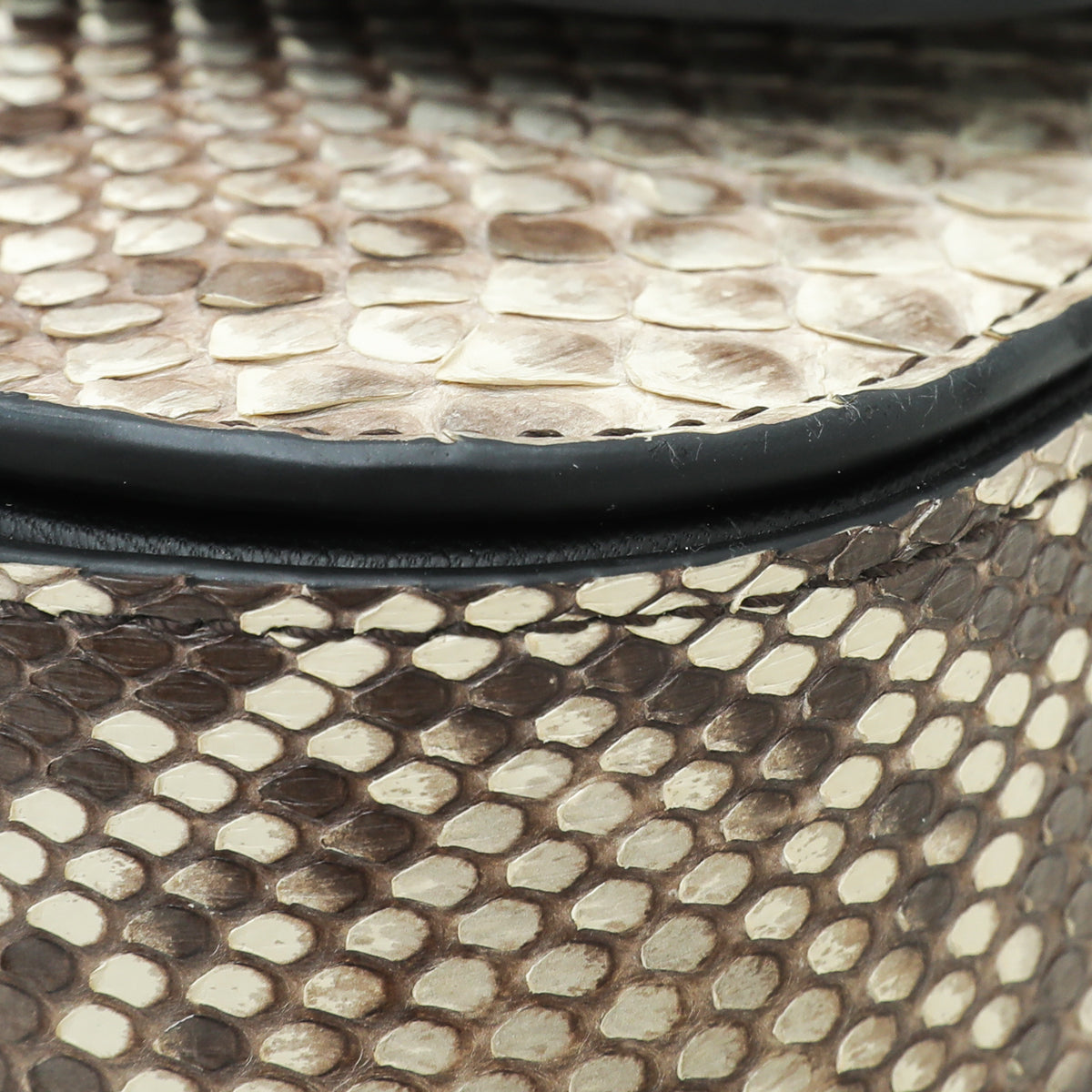 Louis Vuitton Natural Python Vivienne NM Bag – THE CLOSET