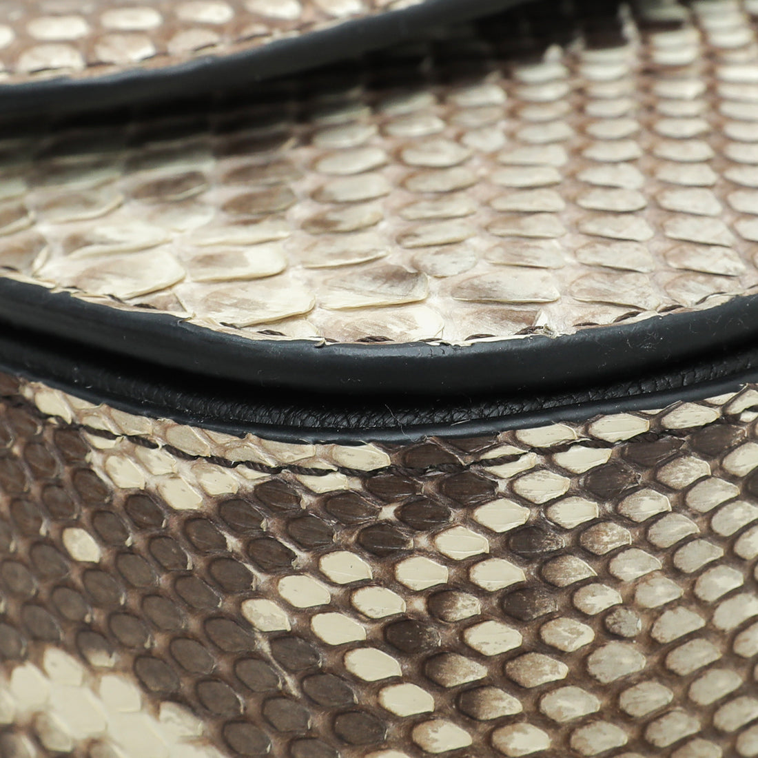 Louis Vuitton Natural Python Vivienne NM Bag – THE CLOSET