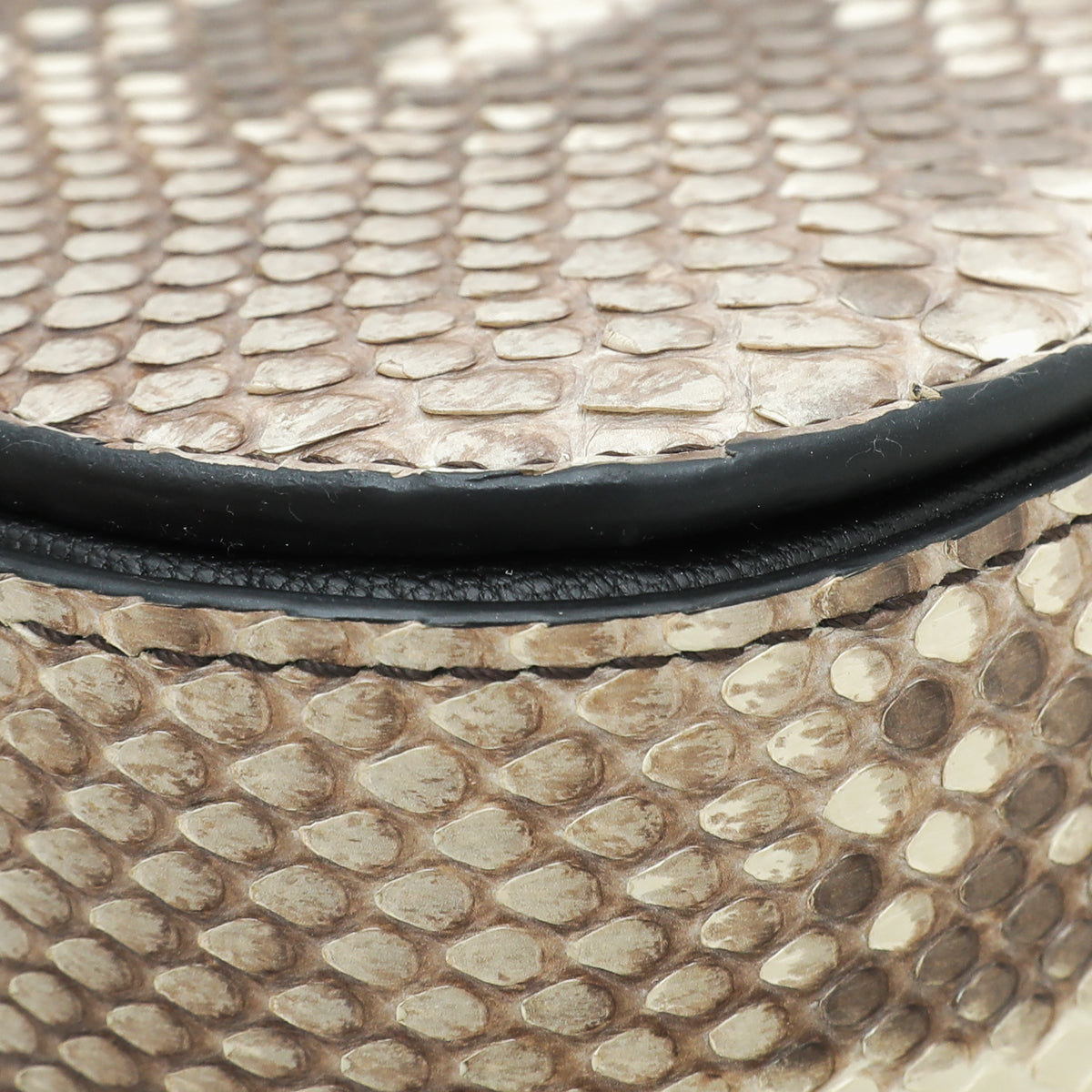 Louis Vuitton Natural Python Vivienne NM Bag – THE CLOSET