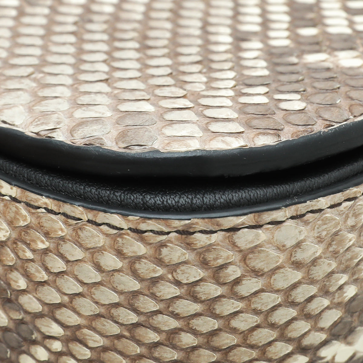 Louis Vuitton Natural Python Vivienne NM Bag – THE CLOSET